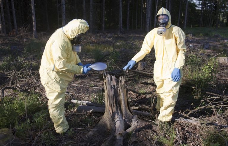 Radiation Exposure - Everything You Need To Know | Dinedsrg.com